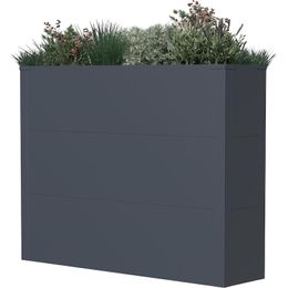 WESTMANN Pflanzk&uuml;bel &raquo;Metall &raquo;Talus&laquo; in S, M, L oder XL&laquo; Anthrazit, in verschiedenen Gr&ouml;&szlig;en erh&auml;ltlich grau Stahl B/H/T: 100cm x 77cm x 25cm