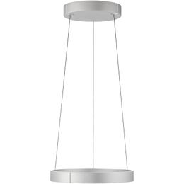 Neuhaus PURE LED Pendelleuchte &raquo;PURE E-Clipse&laquo; LED-Board 1 Stk. warmwei&szlig; - kaltwei&szlig; e-LIFT -Funktion, CCT, dimmbar &uuml;ber Fernbed&iacute;enung 2, &Oslash; 50cm H: 