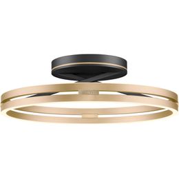 Neuhaus PURE LED Deckenleuchte &raquo;PURE Loop&laquo; LED-Board 1 Stk. warmwei&szlig; - kaltwei&szlig; Dimmbar &uuml;ber Fernbedienung, CCT, separat steuerbar beige 1, &Oslash; 60cm H: 