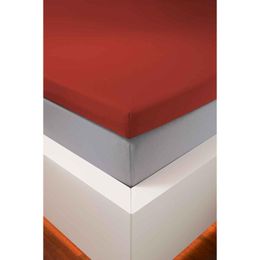 bellana Spannbettlaken &raquo;bellana deluxe f&uuml;r Topper, mit Elasthan, Premium Jersey 230 g/m&sup2;&laquo; mit 5% Elasthan, f&uuml;r Topper mit 4-10cm H&ouml;he, b&uuml;gelfrei, 