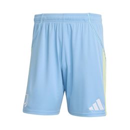 Adidas Performance Sporthose 'Juventus 25/26 Away' Herren Gr&ouml;&szlig;e M blau / gr&uuml;n / wei&szlig;
