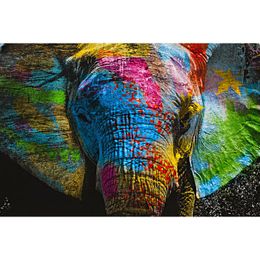 Leinwandbild &raquo;Color Elephant auf Keilrahmen gespannt&laquo; 1 Stk. tlg. Kunstdruck Wandbild Bild in verschiedenen Formaten Leinen B/H/T: 160cm x 80cm x 2cm,