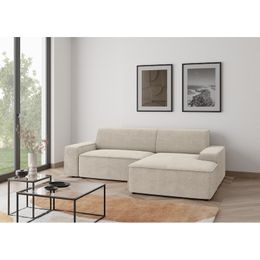 Trendmanufaktur Ecksofa &raquo;Graz, wahlweise mit Sitzvorschub und Bettkasten, L-Form, Breite 246 cm&laquo; in Cord-, haustierfreundlichem LEO Struktur- oder 