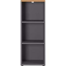 Germania Aktenregal &raquo;GW-Agenda Aktenregal&laquo; mit verstellbaren Einlegeb&ouml;den, Breite 45 oder 80 cm, Made in Germany grau Holzwerkstoff B/H/T: 45cm x 