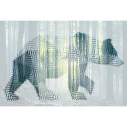 ARCHITECTS PAPER Fototapete &raquo;Atelier 47 Bear Forest 1&laquo; Wald glatt Vlies, Wand, Schr&auml;ge, Decke gr&uuml;n Vlies B/L: 4m x 2,7m