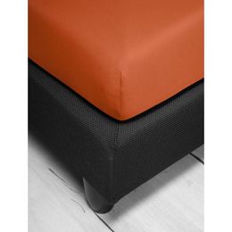 Irisette Spannbettlaken &raquo;Jupiter 8&laquo; aus Baumwolle, f&uuml;r Matratzen bis 25 cm H&ouml;he, Bettlaken, Spannbetttuch orange Mako-Jersey, Obermaterial: 100% Baumwolle B/L: