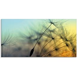 Artland Glasbild &raquo;Goldener Sonnenuntergang und Pusteblumen&laquo; Blumen 1 Stk. tlg. in verschiedenen Gr&ouml;&szlig;en gelb B/H/T: 60cm x 30cm, Glasbild Blumen, 1 Stk.