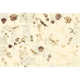 ARCHITECTS PAPER Fototapete &raquo;Atelier 47 Bird Poetry 1&laquo; floral glatt Vlies, Wand, Schr&auml;ge, Decke wei&szlig; Vlies B/L: 4m x 2,7m