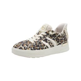 Tamaris Sneaker Damen Gr&ouml;&szlig;e 36 ecru / cognac / cappuccino / schwarz Sommerschuhe