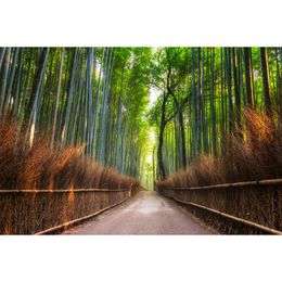 papermoon Fototapete &raquo;Bamboo Grove of Kyoto&laquo; glatt bunt Vlies B/L: 4m x 2,6m, Bahnen: 8 Stk.