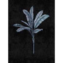 Livingwalls living walls Fototapete &raquo;Walls by Patel Fiji&laquo; glatt Vlies, Wand schwarz Vlies B/L: 2m x 2,7m
