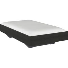 Rauch Futonbett &raquo;Phoenix&laquo; ohne Kopfteil grau Liegefl&auml;che L&auml;nge B: 200cm x 120cm, H&ouml;he Bett: 41cm, ohne Matratze