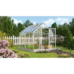 Vitavia Gew&auml;chshaus &raquo;Domus 6700&laquo; Doppelschwingt&uuml;ren und bodentiefer T&uuml;rschwelle, 3 mm Sicherheitsglas silber B/H/T: 257cm x 253,9cm x 263cm