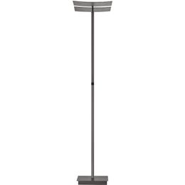 HELL h&ouml;llisch gutes Licht LED Stehlampe &raquo;ANDY&laquo; LED-Modul 1 Stk. warmwei&szlig; - kaltwei&szlig; Tastdimmer, CCT grau 2, H: 185cm, 1 Stk., ohne Lesearm