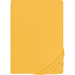 Biberna Spannbettlaken &raquo;Marc&laquo; aus Baumwolle, f&uuml;r Matratzen bis 22 cm H&ouml;he, Bettlaken, Spannbetttuch gold Jersey, Obermaterial: 100% Baumwolle B/L: 200cm, 1 
