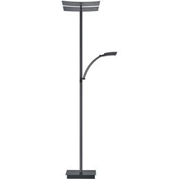 HELL h&ouml;llisch gutes Licht LED Stehlampe &raquo;ANDY&laquo; LED-Modul 1 Stk. warmwei&szlig; - kaltwei&szlig; Tastdimmer, CCT schwarz 3, H: 185cm, 1 Stk.,mit Lesearm