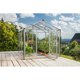 Vitavia Gew&auml;chshaus &raquo;Zeus 6200&laquo; Alu-Profile, 3 mm Sicherheitsglas, Dach 10 mm Hohlkammerplatten silber B/H/T: 258,4cm x 250,4cm x 242cm
