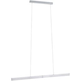 Paulmann LED Pendelleuchte &raquo;Aptare&laquo; LED-Modul 1 Stk. Warmwei&szlig; LED-Modul, dimmbar, 230 V grau 2, H: 150cm, 1 Stk.