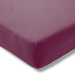Estella Spannbettlaken &raquo;Jersey-Stretch-Spannbetttuch&laquo; Der Ma&szlig;anzug f&uuml;r die Matratze lila Jersey-Elasthan, Obermaterial: 97% Baumwolle, 3% Elasthan B/L: 150cm,