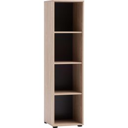 Schildmeyer Aktenregal &raquo;AREZZO, 4 offene F&auml;cher, Platz f&uuml;r 4 Ordnerreihen, MADE IN GERMANY&laquo; 1 Stk. tlg. Platz f&uuml;r 4 Ordnerreihen, MADE IN GERMANY braun 