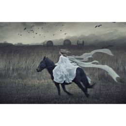papermoon Fototapete &raquo;PFERD IM GALLOP-TIER ROMANTISCH SCH&Ouml;NHEIT STIMMUNG XXL&laquo; bunt Vlies B/L: 1,5m x 1,11m, Bahnen: 7 Stk.