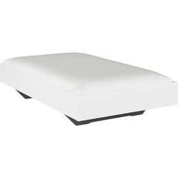 Rauch Futonbett &raquo;Phoenix&laquo; ohne Kopfteil wei&szlig; Liegefl&auml;che L&auml;nge B: 200cm x 120cm, H&ouml;he Bett: 41cm, ohne Matratze