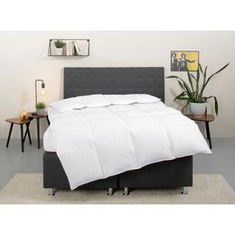 OTTO home Daunenbettdecke &raquo;Cyra, Bettdecke 135x200 cm, 155x220 cm&laquo; extrawarm F&uuml;llung 70% Daunen und 30% Federn Bezug Baumwolle 1 Stk. tlg. wo 