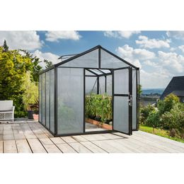 Vitavia Gew&auml;chshaus &raquo;Zeus 8100&laquo; schwarz B/H/T: 266cm x 324cm
