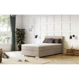 COTTA Boxspringbett &raquo;Simba erh&auml;ltlich in verschiedenen Breiten, Farben und H&auml;rtegraden&laquo; Bezugsstoff: Struktur fein grau Polyester Struktur fein 