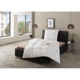 Ribeco Federbettdecke &raquo;Laram, Bettdecken f&uuml;r Sommer oder Winter, Made in Germany&laquo; leicht F&uuml;llung 90 % Federn, 10 % Daunen 1 Stk. tlg. Super Preis-