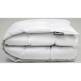 Dunlopillo G&auml;nsedaunenbettdecke &raquo; Supreme Deluxe, "NEUHEIT" in Gr&ouml;&szlig;e 135x220 & 155 220 cm&laquo; normal F&uuml;llung 90% G&auml;nsedaunen & 10% Federn 1 Stk. tlg. Hergestellt in
