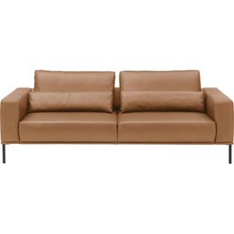 Musterring 3-Sitzer &raquo;JustB!PM100, 242 cm breit, aus hochwertigem Leder&laquo; XL-Sofa, wahlweise mit Nierenkissen und mot. Sitzauszug, Fu&szlig; schwarz braun 100% Leder B/H