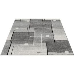 MERINOS Teppich &raquo;Thales 6102&laquo; rechteckig 10 mm H&ouml;he Kurzflorteppich mit Konturenschnitt, Wohnzimmer grau Polyester B : 240cm 1 Stk., 10mm, L: 330cm