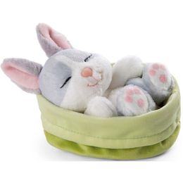 Nici Kuscheltier &raquo;Sleeping Pets GREEN, Hase 12 cm&laquo; schlafend im K&ouml;rbchen grau Einheitsgr&ouml;&szlig;e Kuscheltier