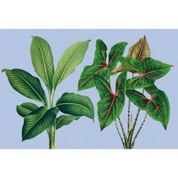 Livingwalls living walls Fototapete &raquo;Walls by Patel Leaf Garden&laquo; glatt Vlies, Wand blau Vlies B/L: 4m x 2,7m