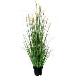 Creativ green Kunstgras &raquo;Grasbusch Pennisetum&laquo; gr&uuml;n Obermaterial: 100% Polyethylen B/H/L: 18cm x 120cm x 18cm, 1 Stk.