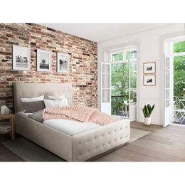Home Affaire Polsterbett &raquo;Vaine&laquo; in 5 Breiten, auch in L&auml;nge 220 cm, incl. Roll-Lattenrost beige Samtoptik (100% Polyester) Liegefl&auml;che L&auml;nge B: 220cm