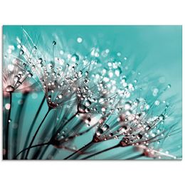 Artland Glasbild &raquo;Glitzernde Pusteblume I&laquo; Blumen 1 Stk. tlg. in verschiedenen Gr&ouml;&szlig;en blau B/H/T: 80cm x 60cm, Glasbild Blumen Querformat, 1 Stk.