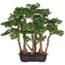 Creativ green Kunstbonsai &raquo;Bonsai Teeblatt&laquo; mit detailgetreuer Gestaltung gr&uuml;n Kunststoff B/H/L: 60cm x 60cm, 1 Stk.