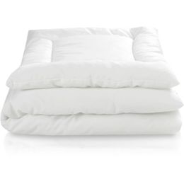 Julius Z&ouml;llner Ganzjahresbettdecke + Kopfkissen &raquo;Hygienika, 2-tlg, Hergestellt in Deutschland&laquo; Decke mit Kissen, Decke 100x135cm, Kissen 40x60cm und weitere Gr&ouml;&szlig;en 