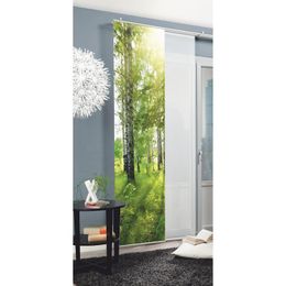 Home Wohnideen Schiebegardine &raquo;NEWCASTLE&laquo; Klettband 1 Stk. tlg. HxB: 245x60, inkl. Befestigungszubeh&ouml;r gr&uuml;n Polyester 245cm, Klettband, 60cm