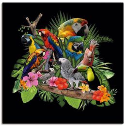Artland Leinwandbild &raquo;Papageien Graupapagei Kakadu Dschungel&laquo; V&ouml;gel 1 Stk. tlg. auf Holzrahmen gespannt bunt B/H/T: 70cm x 70cm, Leinwandbild V&ouml;gel 
