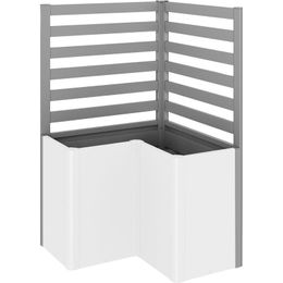 Rankgitter f&uuml;r BioHort Hochbeet Belvedere L100 grau Stahlblech B/H/T: 102cm x 91cm