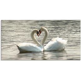 Artland Glasbild &raquo;Liebesspiel von Schw&auml;nen&laquo; V&ouml;gel 1 Stk. tlg. in verschiedenen Gr&ouml;&szlig;en grau B/H/T: 100cm x 50cm, Glasbild V&ouml;gel, 1 Stk.