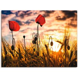 Artland Leinwandbild &raquo;Mohnblumen im Sonnenuntergang&laquo; Blumen 1 Stk. tlg. auf Holzrahmen gespannt bunt B/H/T: 40cm x 30cm, Leinwandbild Blumen, 1 Stk.