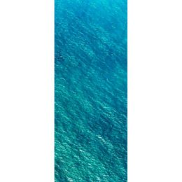 Komar Vliestapete &raquo;Digitaldruck Vlies - Blaupause Panel - Gr&ouml;&szlig;e 100 x 250 cm&laquo; bedruckt glatt Wohnzimmer, Schlafzimmer blau Vlies B/L: 100m x 250m, Rollen: 1