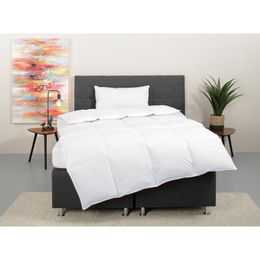 OTTO home Daunenbettdecke + Kopfkissen &raquo;Cyra Set, Bettdecke 135x200 & 155x220 cm mit Kissen 80x80 cm&laquo; Set, wo besonders auf artgerechte Haltung der 