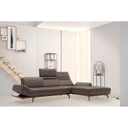 Creation BY ROLF BENZ Ecksofa &raquo;CR.420, Designecksofa, L-Form&laquo; in 2 Qualit&auml;ten, Holzrahmen in Eiche Natur oder Nu&szlig;baum, Breite 293 cm beige Flachgewebe