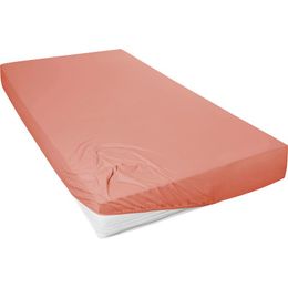 Primera Spannbettlaken &raquo;Mako-Feinjersey Spannbetttuch&laquo; Geeignet f&uuml;r Standardmatratzen bis 22 cm, 100% Baumwolle rot Mako-Jersey, Obermaterial: 100% Baumwolle 