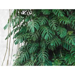 Livingwalls living walls Fototapete &raquo;The Wall&laquo; botanisch naturalistisch nat&uuml;rlich glatt Fototapete Palmen Tapete Dschungel Tapeten Wohnzimmer Flur Design B&uuml;ro 